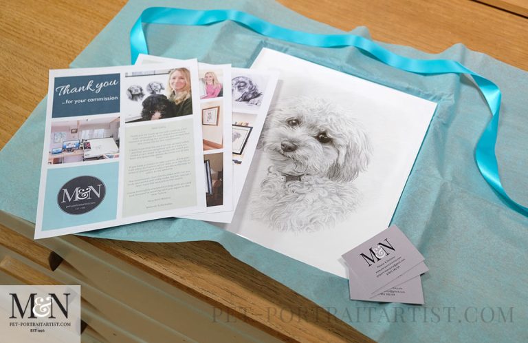 Cockapoo Pencil Drawing of Georgie - Melanie & Nicholas