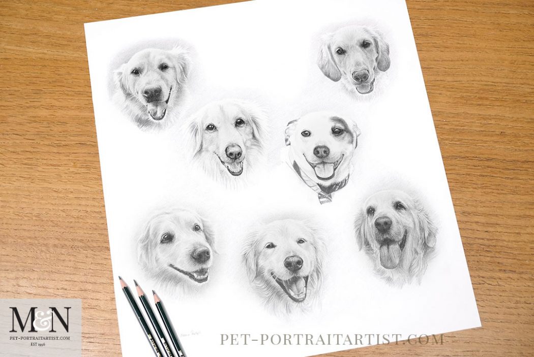 Seven Dogs, One Portrait – A Special Pet Portrait - Melanie & Nicholas