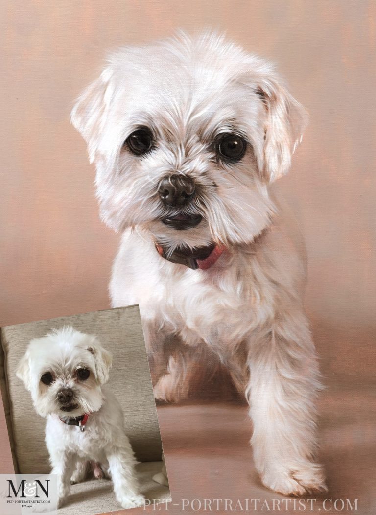 The Importance of Light and Shade in Pet Portraits - Melanie & Nicholas