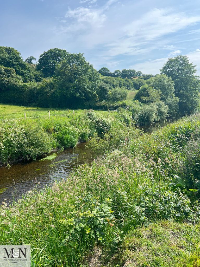 Aberaeron to Lampeter Walk - Melanie & Nicholas