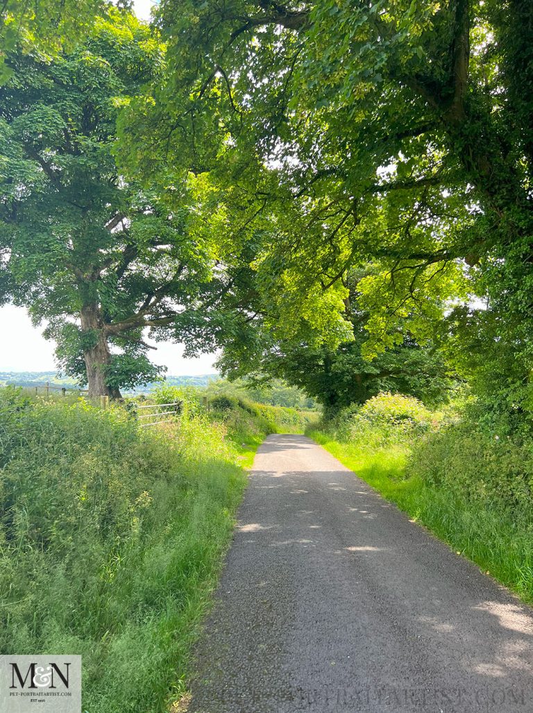 Aberaeron to Lampeter Walk - Melanie & Nicholas