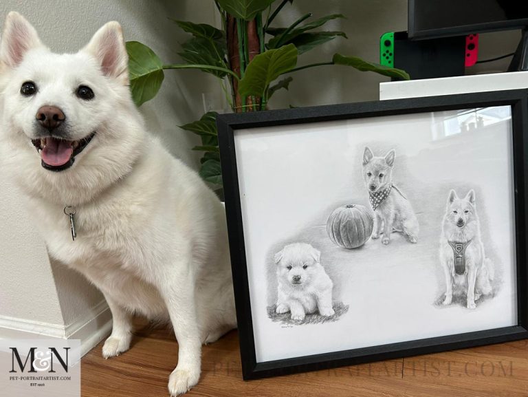 Bespoke Pencil Pet Portrait – Montage Drawing in Graphite - Melanie ...