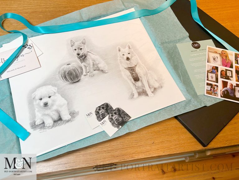 Bespoke Pencil Pet Portrait – Montage Drawing in Graphite - Melanie ...