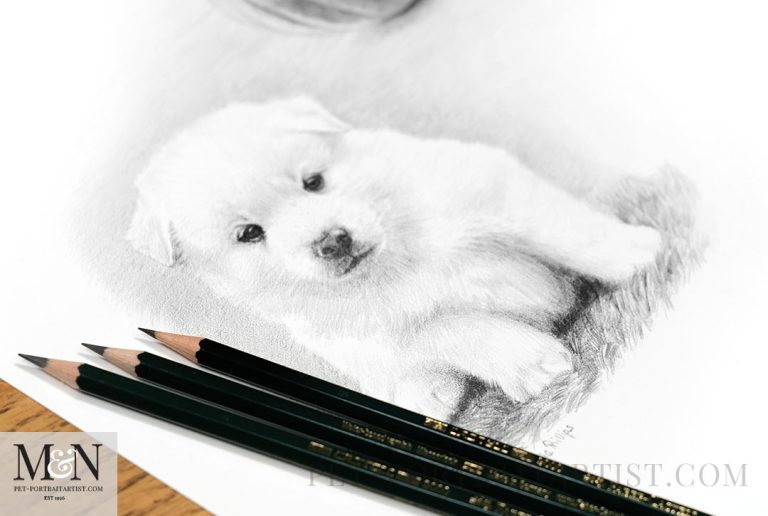 Bespoke Pencil Pet Portrait – Montage Drawing in Graphite - Melanie ...