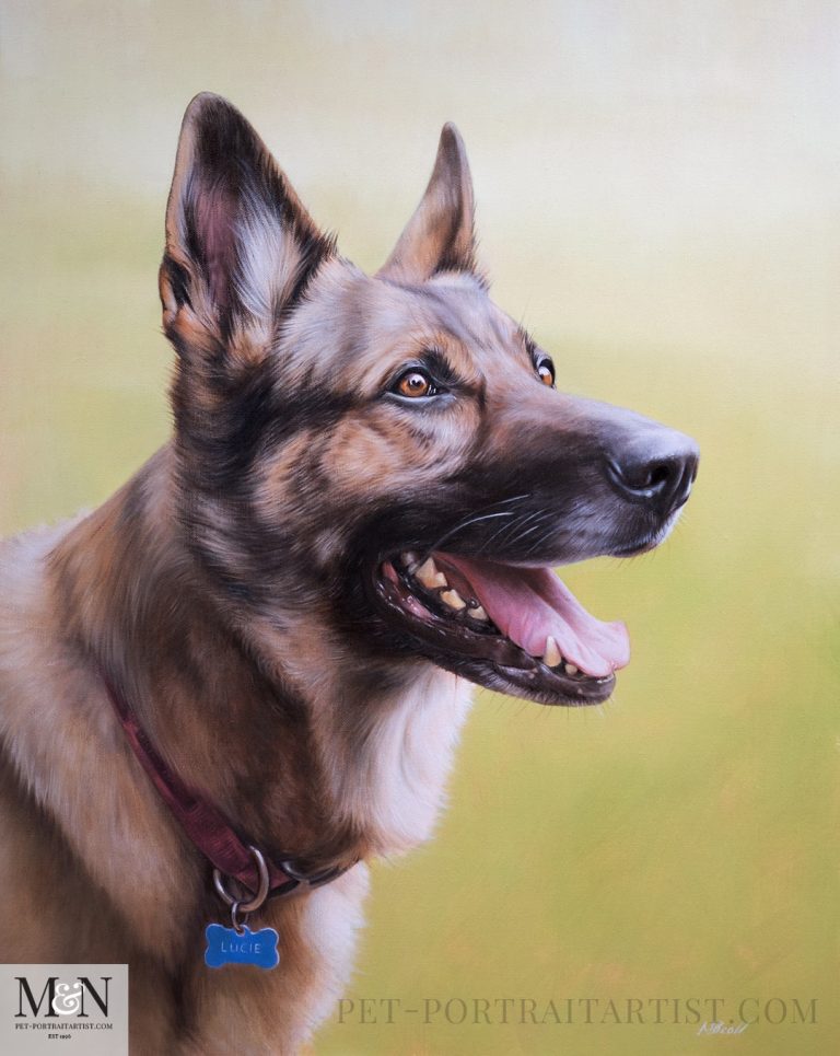 German Shepherd Oil Portrait of Lucie - Melanie & Nicholas