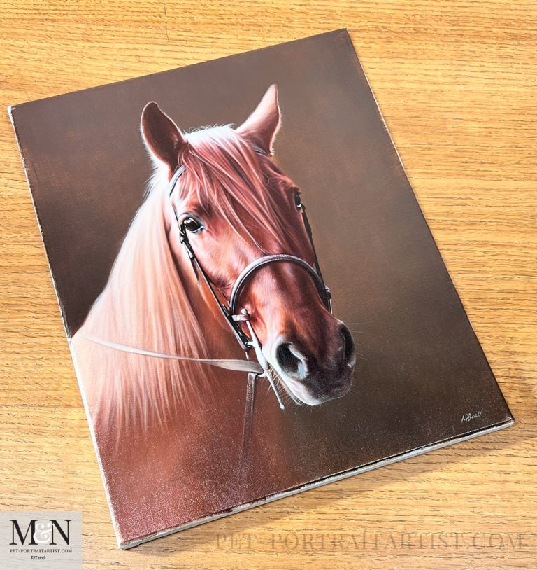 Horse Portrait in Oils - Meet Rasha - Melanie & Nicholas