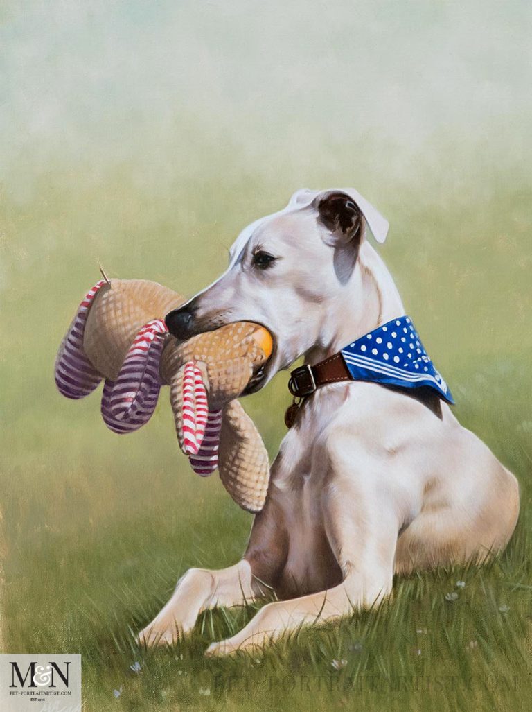 Monty the Whippet - Oil Portrait Birthday Surprise - Melanie & Nicholas