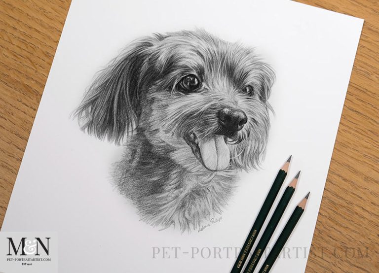 Hugo’s Pencil Portrait Commission from Australia - Melanie & Nicholas