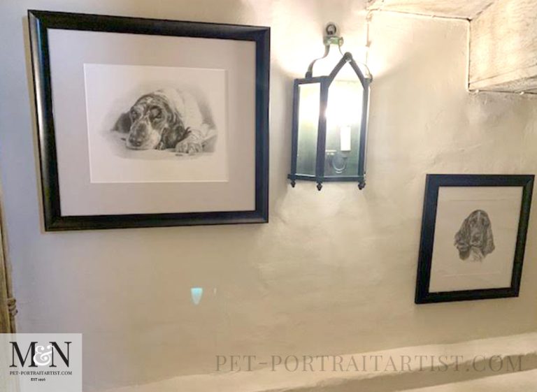 Spaniel Dog Portrait in Pencil - Drawing of Tosca - Melanie & Nicholas