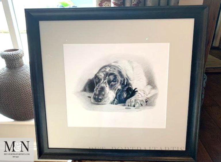 Spaniel Dog Portrait in Pencil - Drawing of Tosca - Melanie & Nicholas